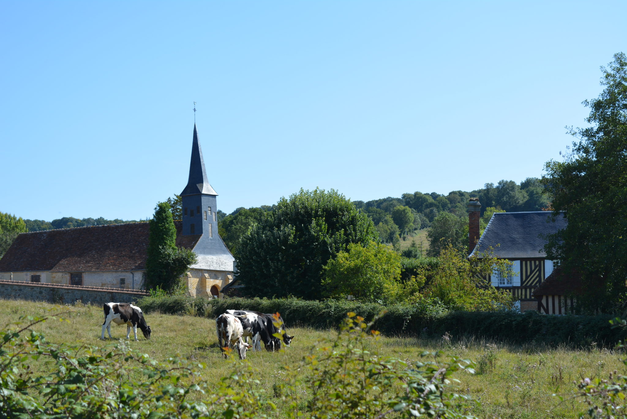 Boissey - Commune de Saint-Pierre-en-Auge